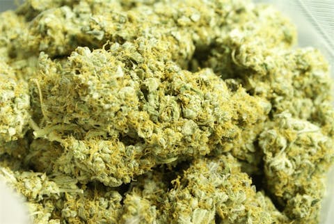 OCD Weed Strain Information | Leafly