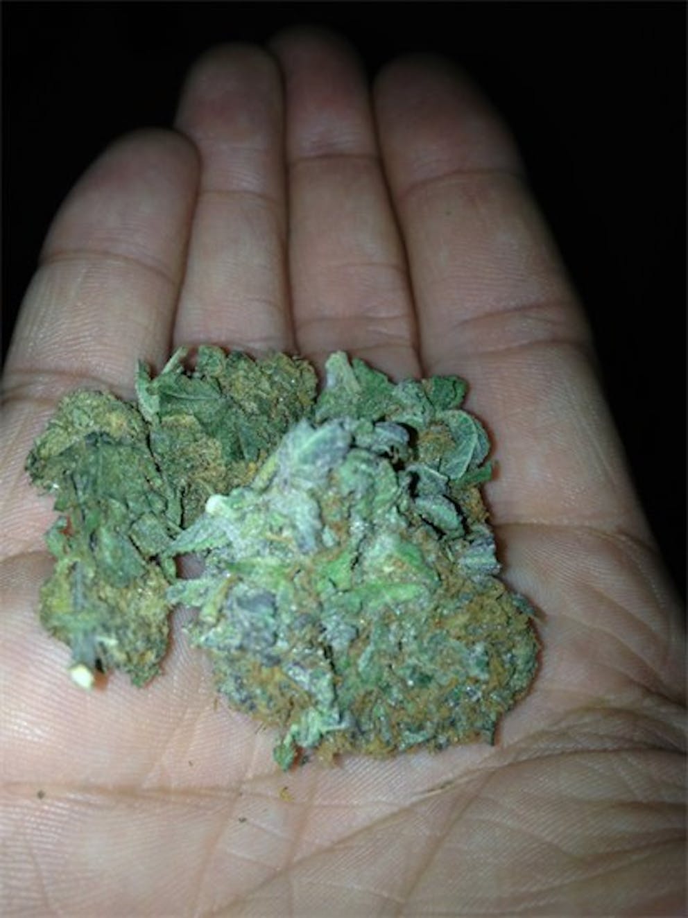 Photos Of Purple Passion Weed Strain Buds Leafly