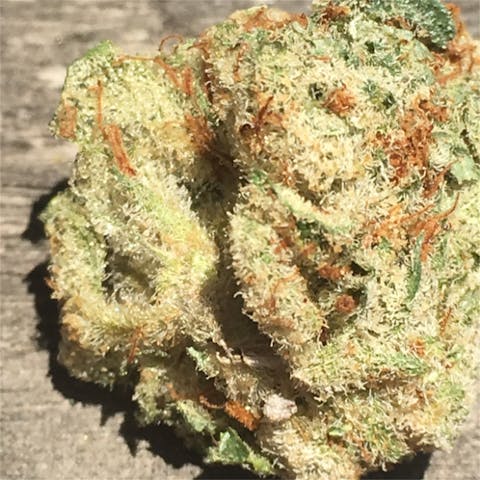 A-Dub Weed Strain Information | Leafly