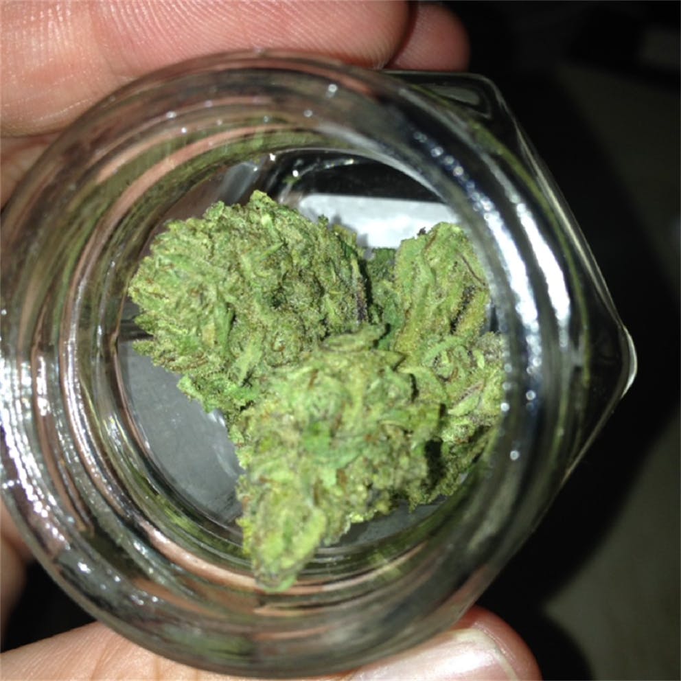 Photos of ACDC Weed Strain Buds | Leafly