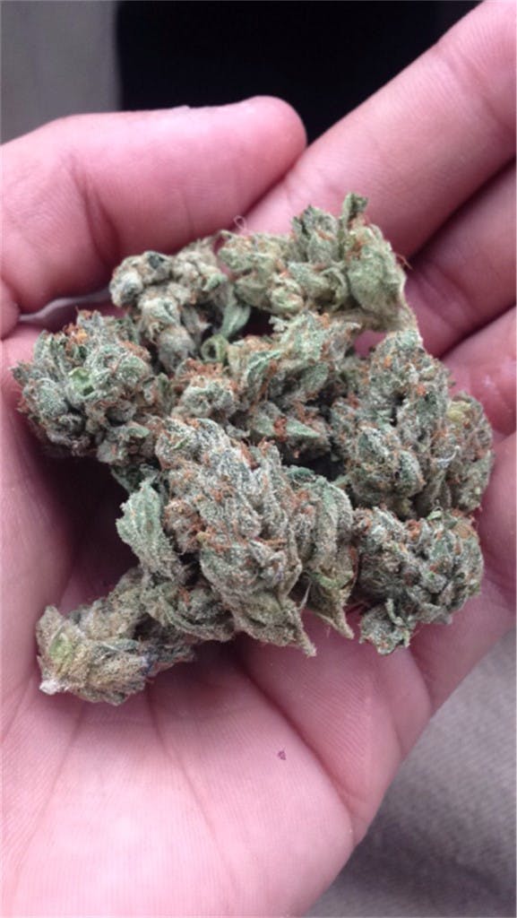 Ace Killer OG aka Ace Killer, Ace Killer OG Kush Weed Strain Information | Leafly