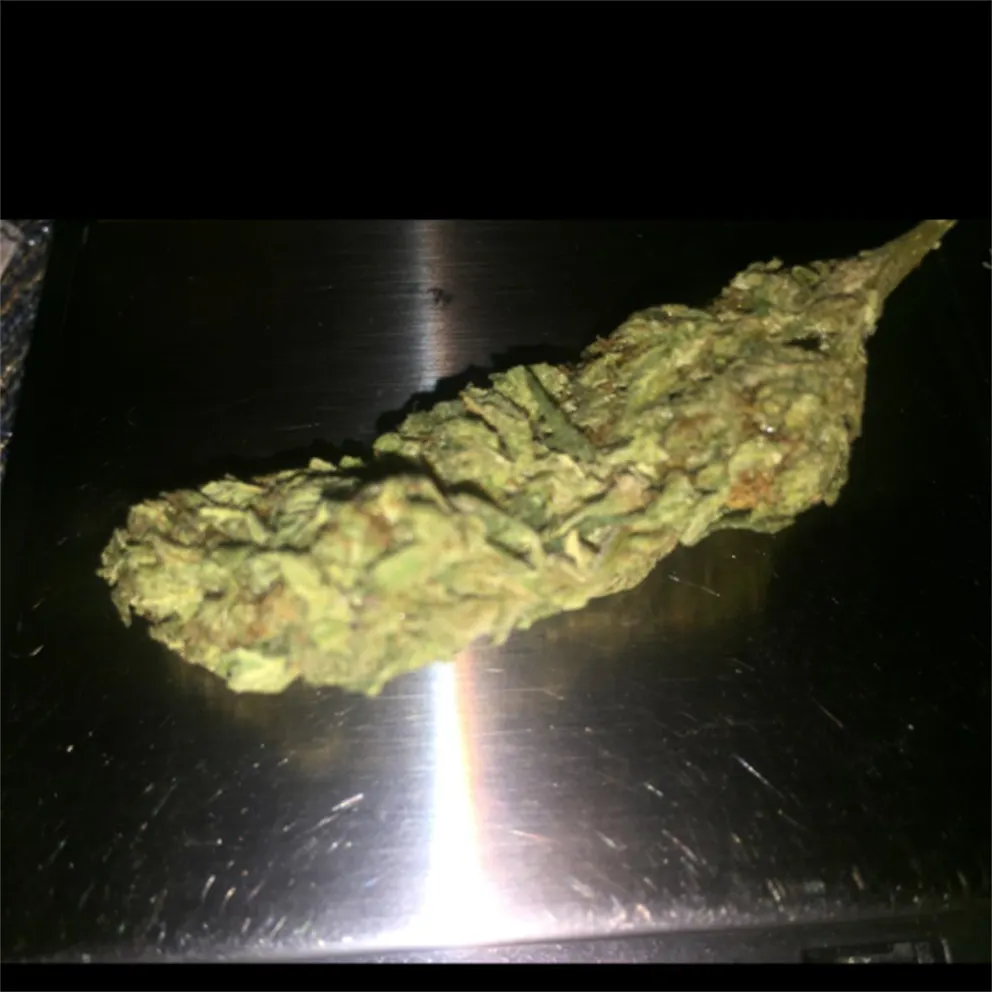Photos of Ace Killer OG Weed Strain Buds | Leafly