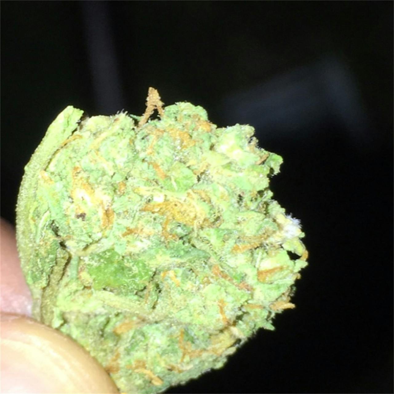 Photos of Afghan Kush Weed Strain Buds | Leafly