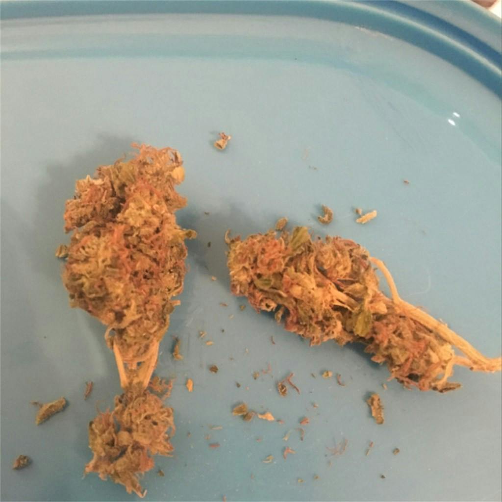 Afghan Skunk aka Afghani Skunk Weed Strain Information | Leafly