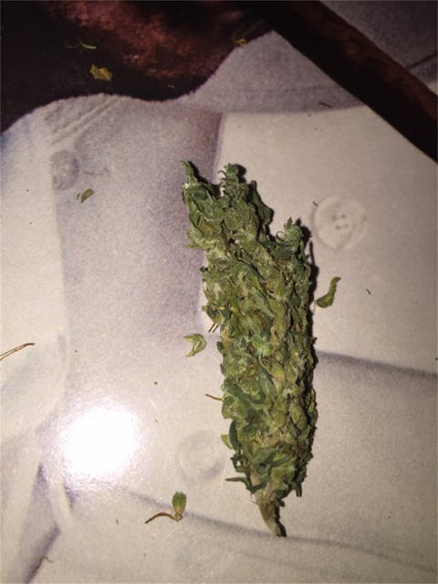 African Weed Strain Information | Leafly