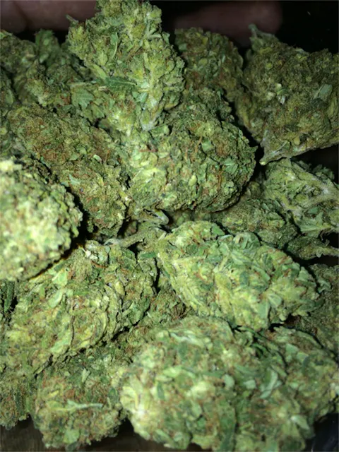 African Weed Strain Information | Leafly