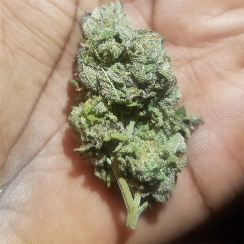 African Weed Strain Information | Leafly