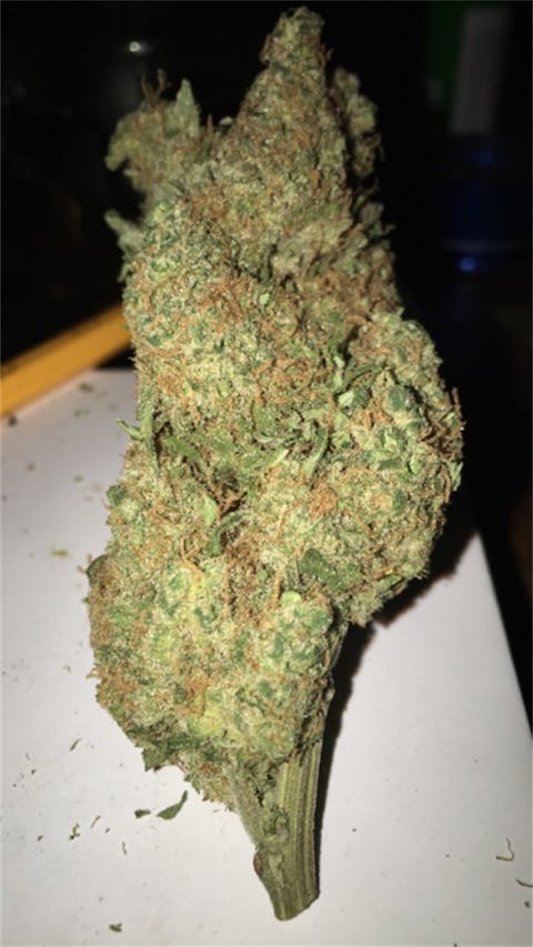 Afternoon Delight aka Afternoon Delite Weed Strain Information | Leafly