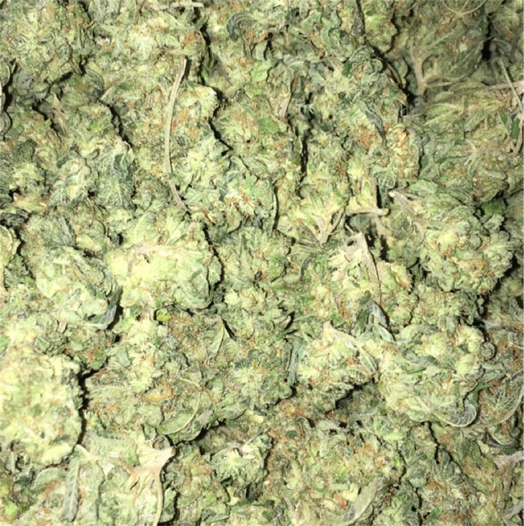 Photos of AK-47 Weed Strain Buds | Leafly