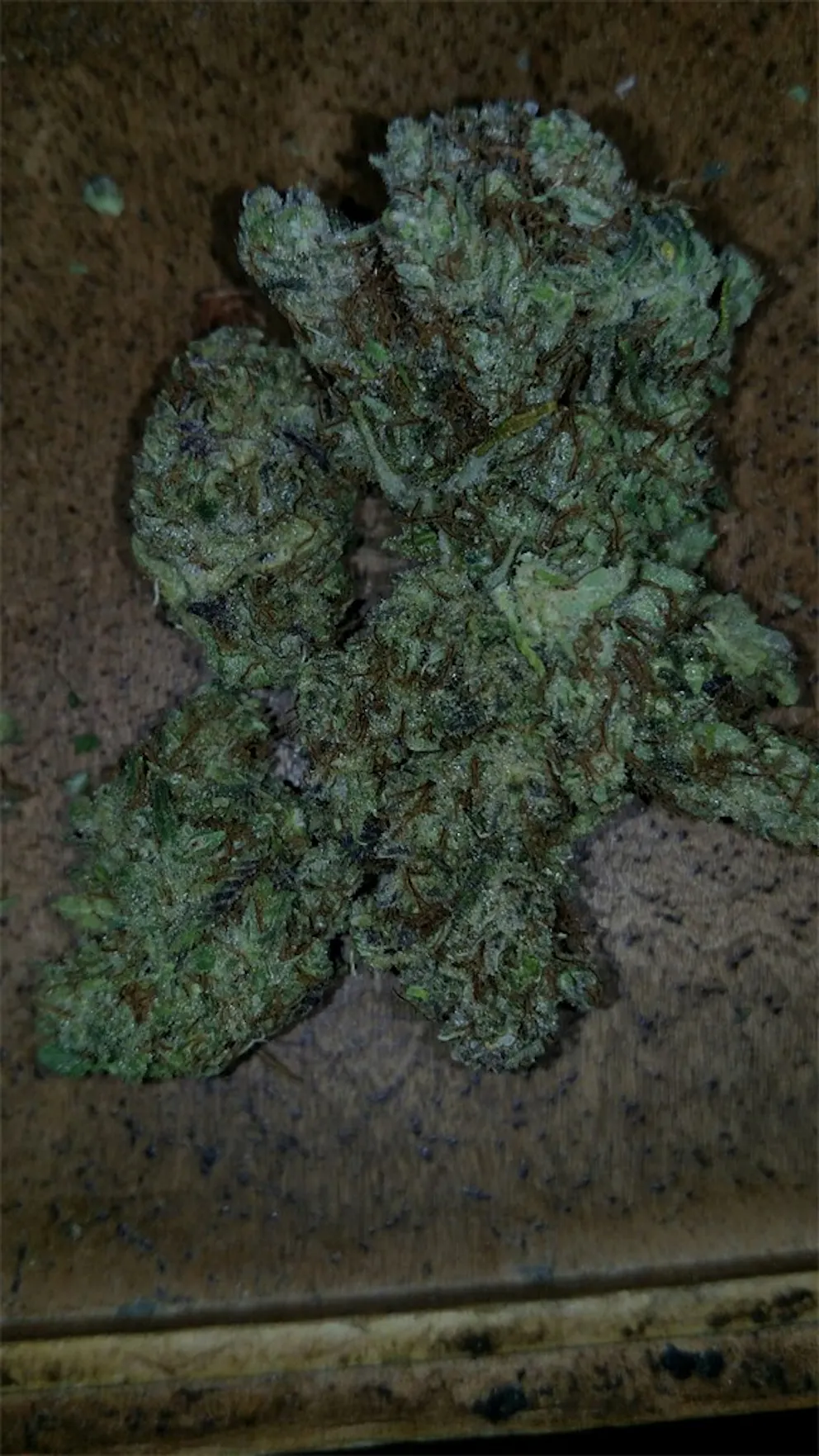 Photos of Alaska Weed Strain Buds | Leafly