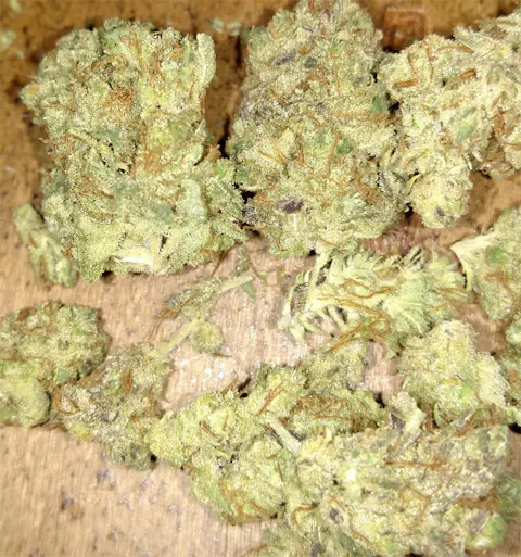 Alaska Weed Strain Information | Leafly