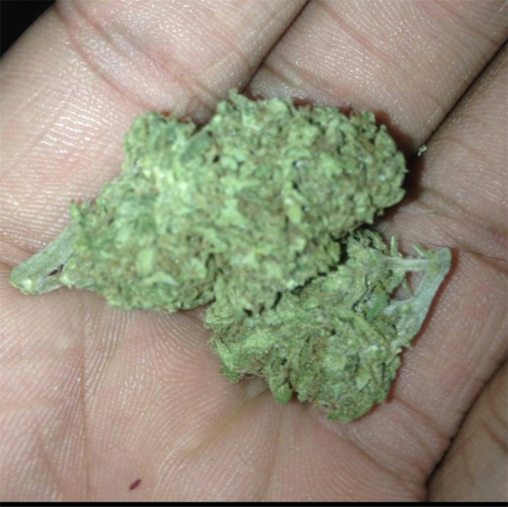 Photos of Alaskan Thunder Fuck Weed Strain Buds | Leafly