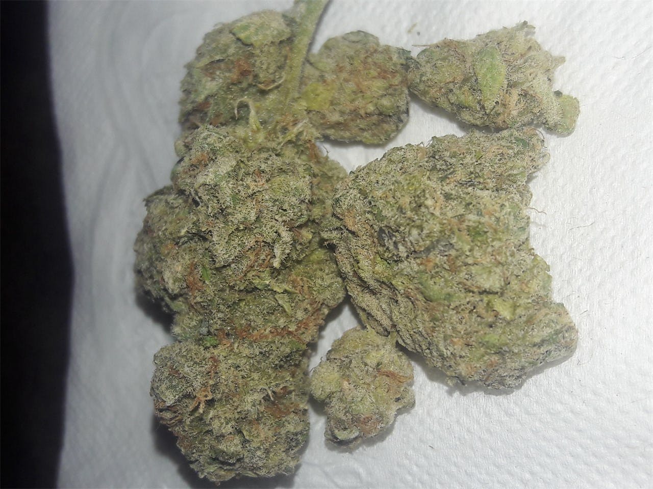 Photos of Alaskan Thunder Fuck Weed Strain Buds | Leafly