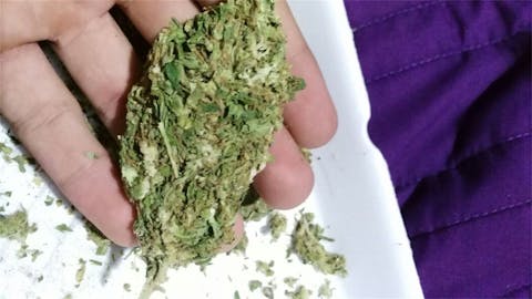 Alien Bubba Weed Strain Information | Leafly