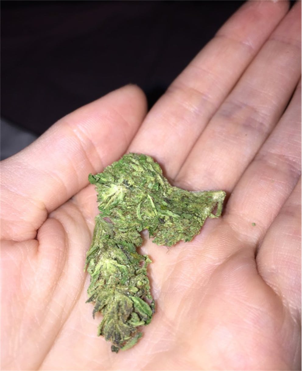 Photos of Alien Kush Weed Strain Buds | Leafly