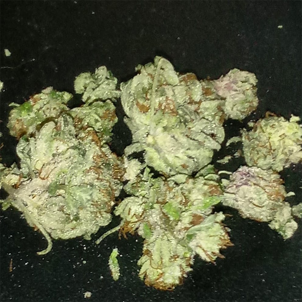 Photos of Alien OG Weed Strain Buds | Leafly