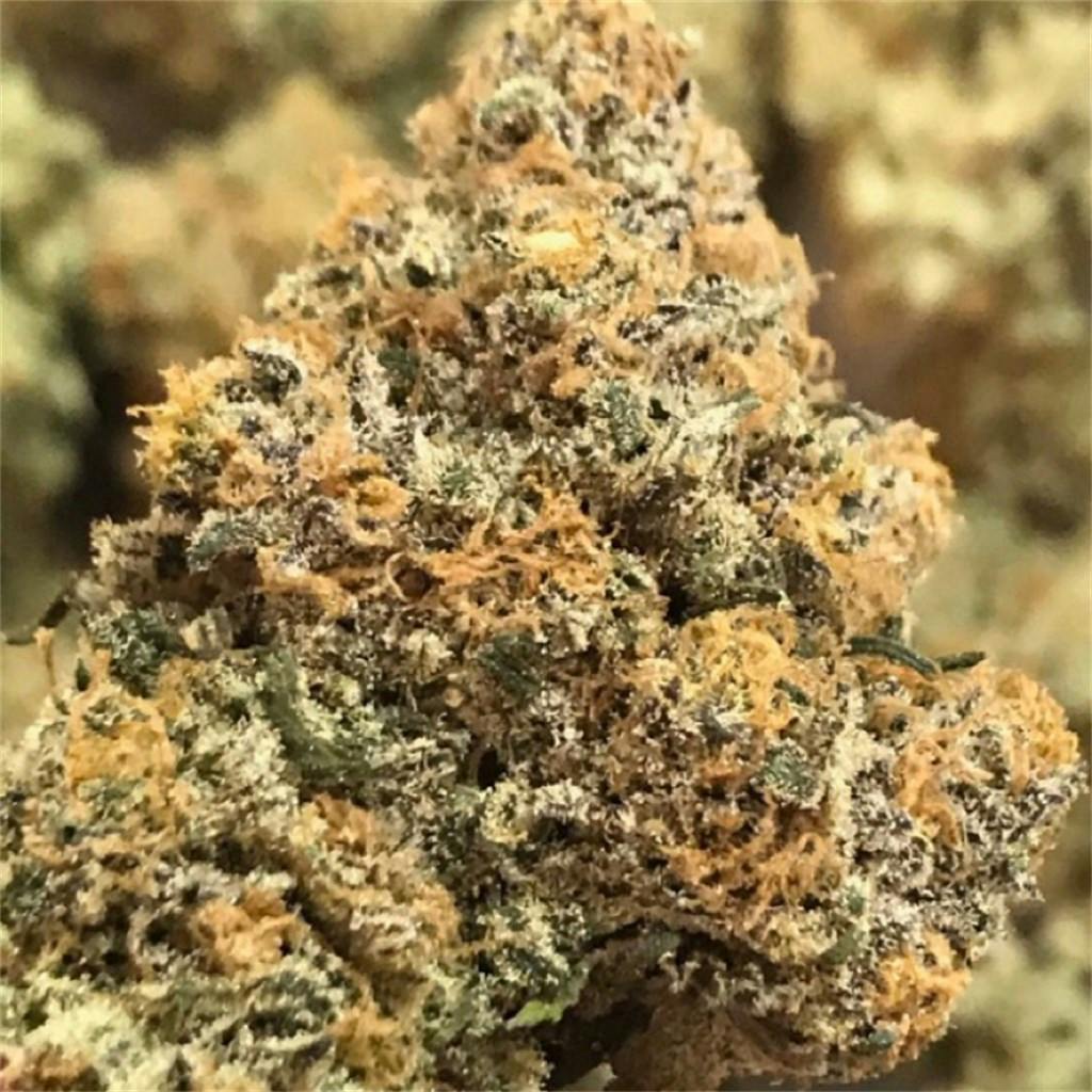 Photos of Alien OG Weed Strain Buds | Leafly