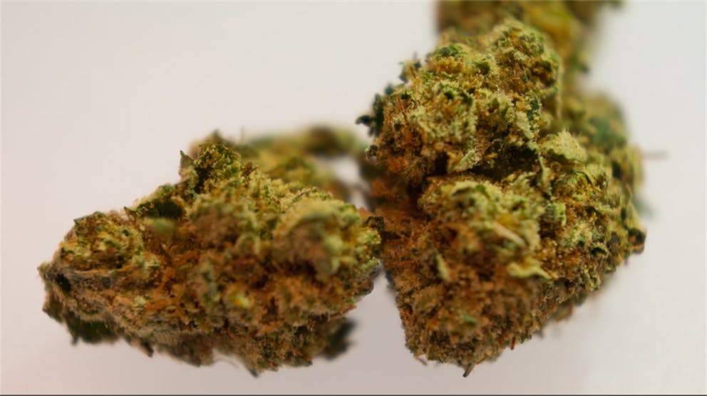 Photos of Alien OG Weed Strain Buds | Leafly