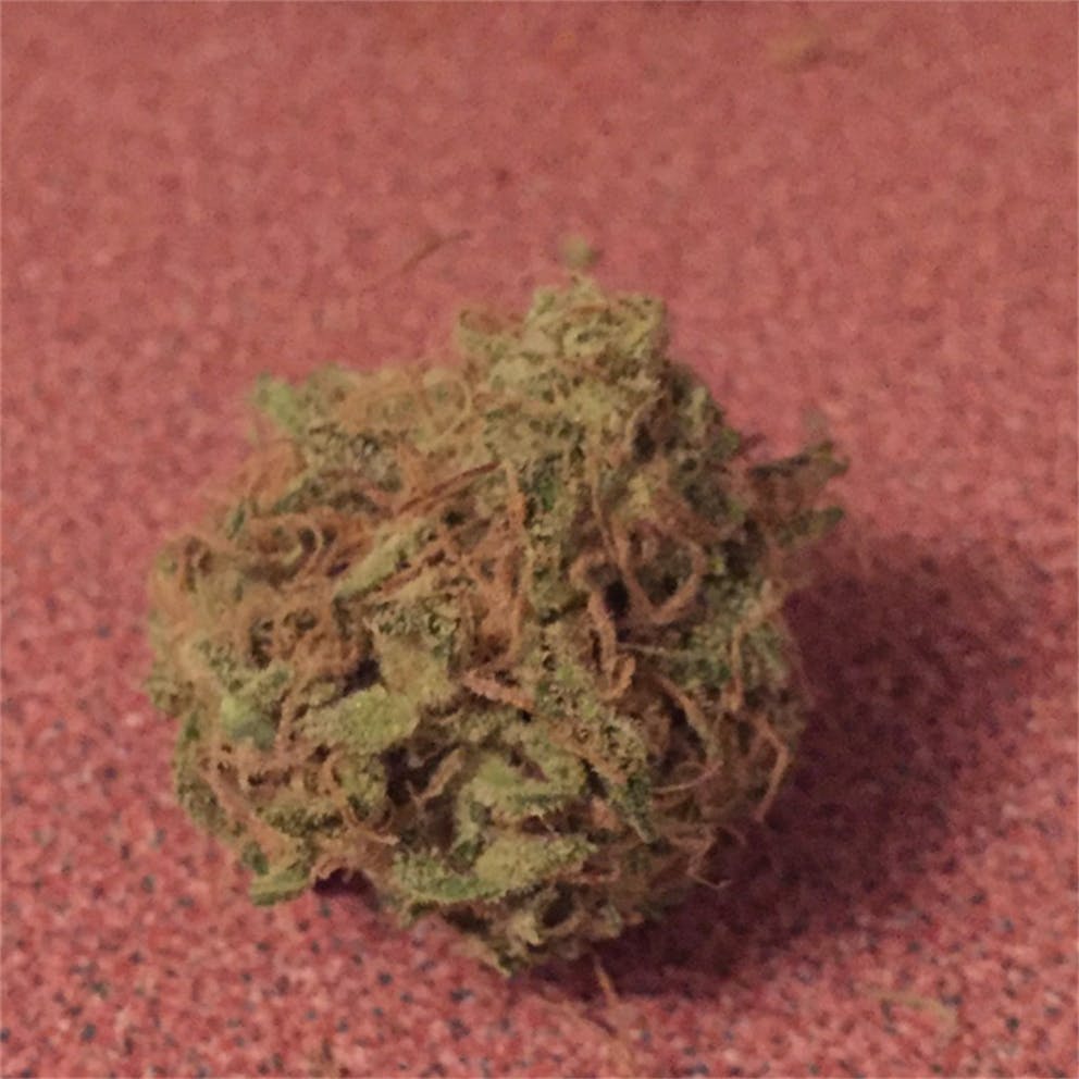 Photos of Alien Rift Weed Strain Buds | Leafly