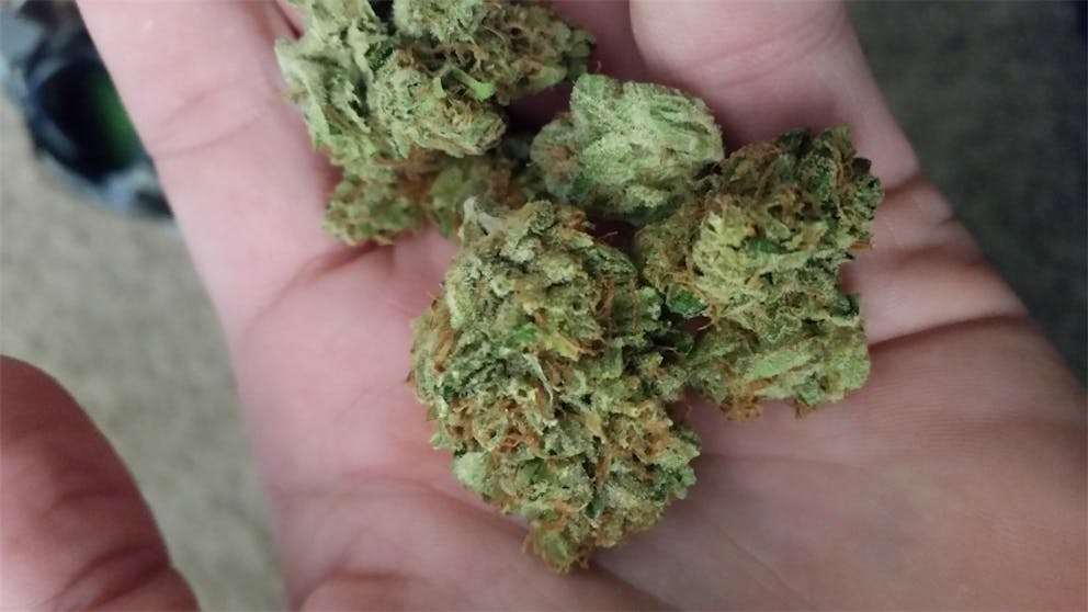 Photos of Alien Rock Candy Weed Strain Buds | Leafly