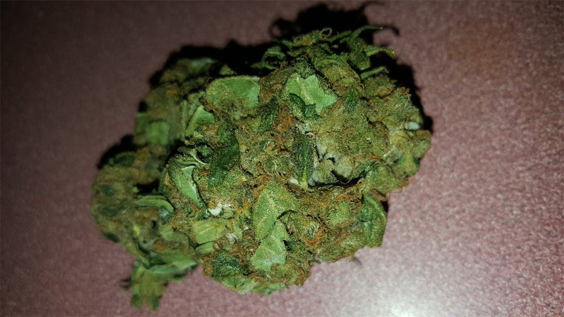 Photos of Alien Sour Apple Weed Strain Buds | Leafly