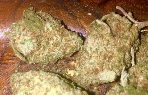 Alien Technology aka Alien Tech Weed Strain Information | Leafly