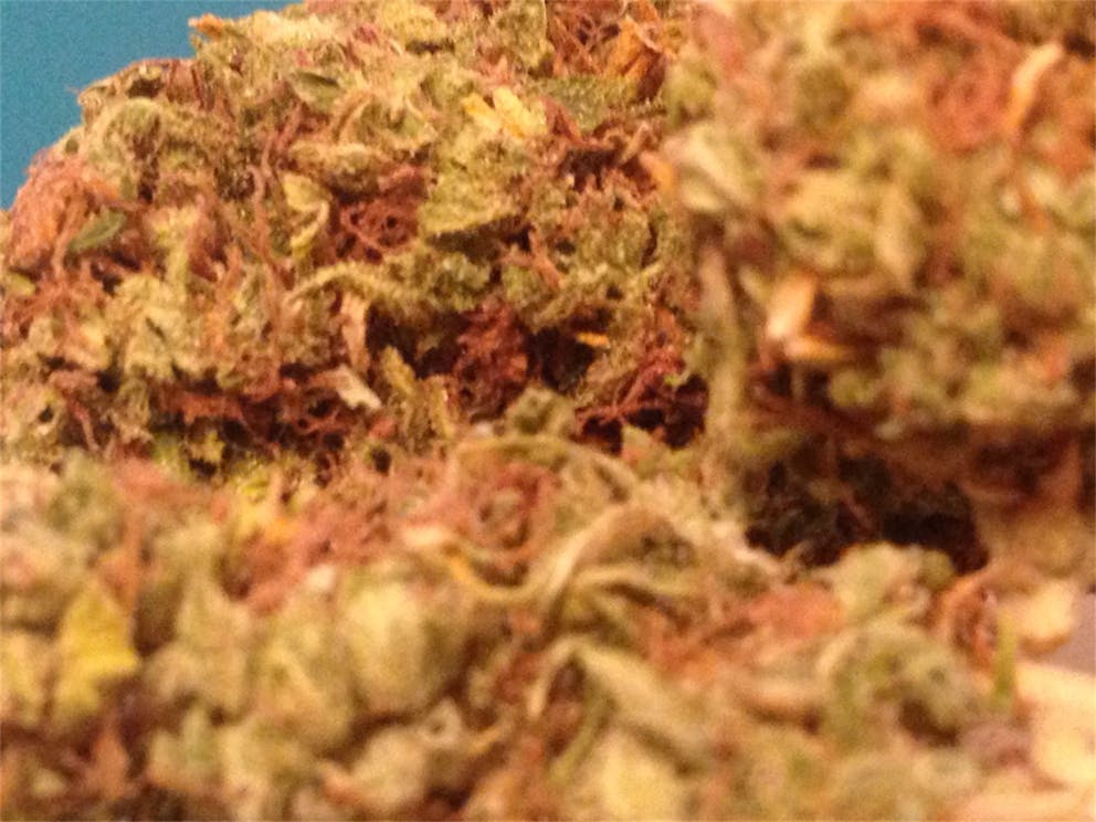 Photos of Aloha Weed Strain Buds | Leafly