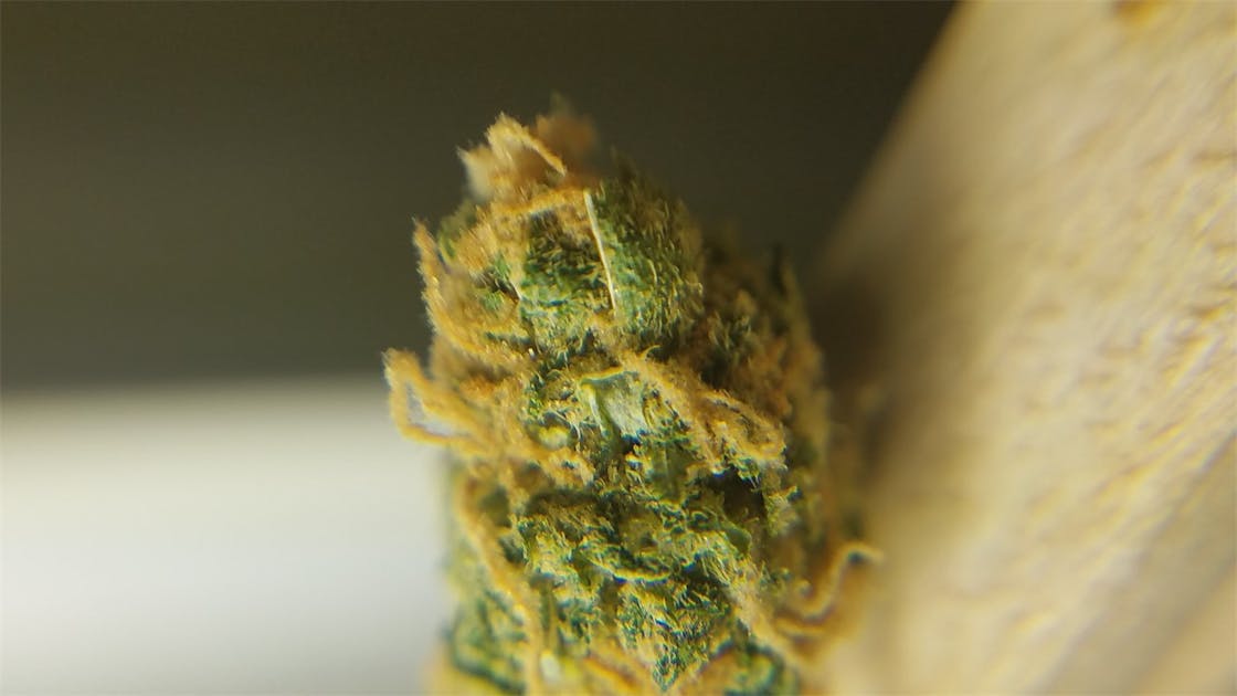 Photos of Aloha Weed Strain Buds | Leafly