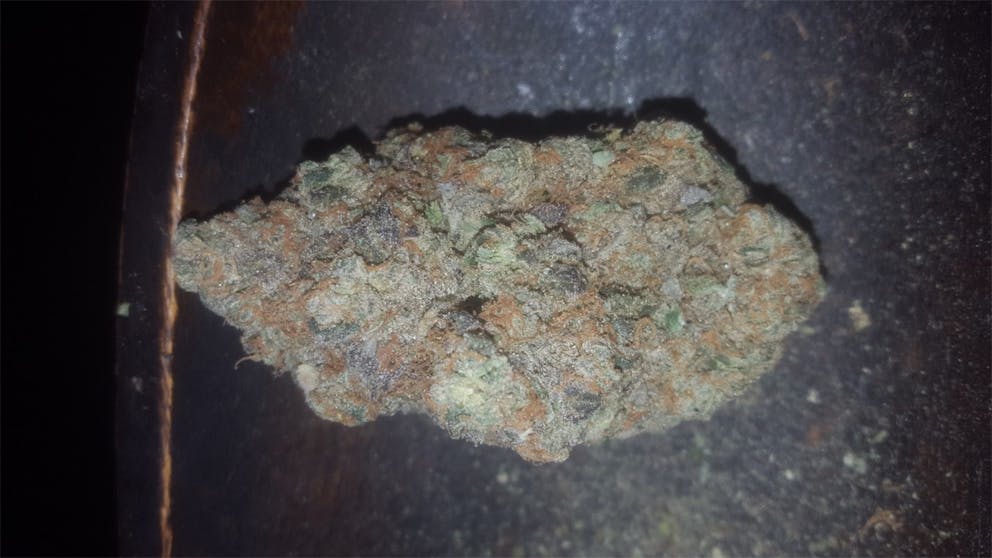 Photos of Alpha Blue Weed Strain Buds | Leafly