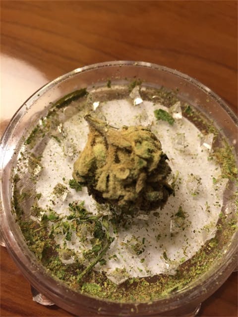 Alpha Express Weed Strain Information | Leafly