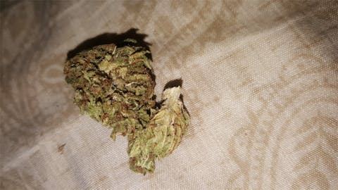 Alpha OG aka Alpha Medic OG Weed Strain Information | Leafly