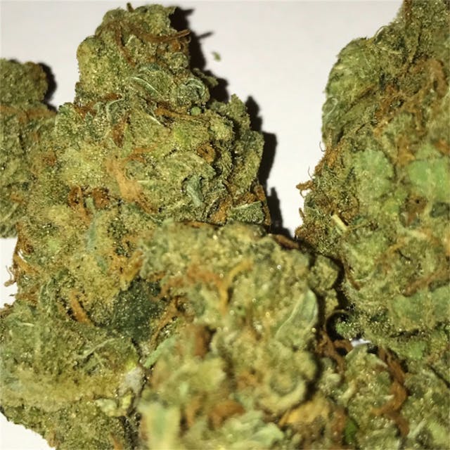 Photos of Amnesia Haze Weed Strain Buds | Leafly