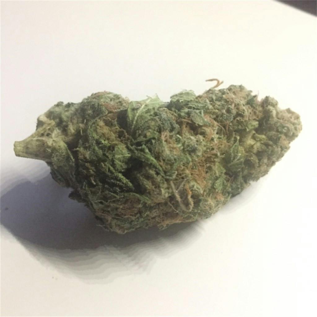 Photos of Amnesia Haze Weed Strain Buds | Leafly