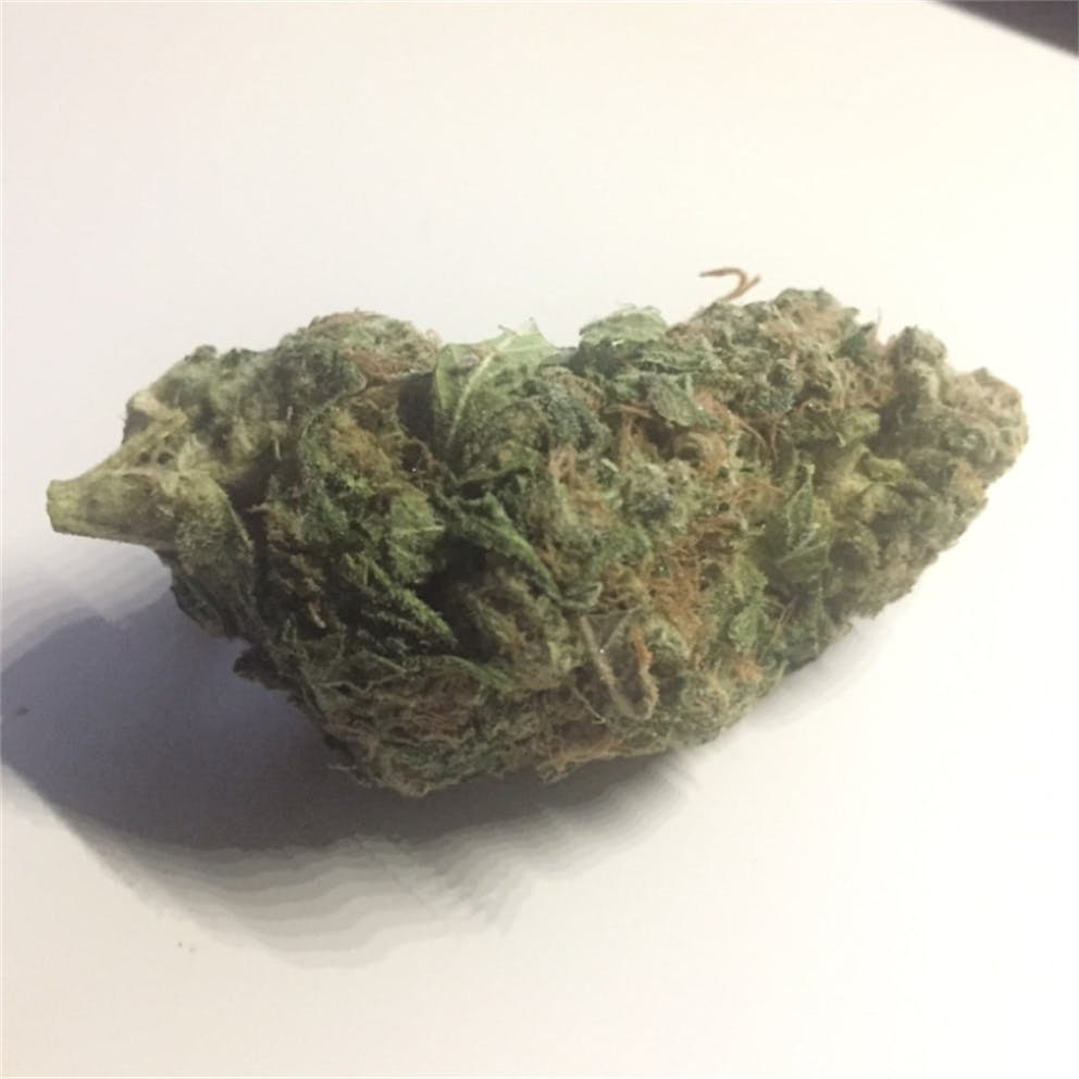 Photos of Amnesia Haze Weed Strain Buds | Leafly