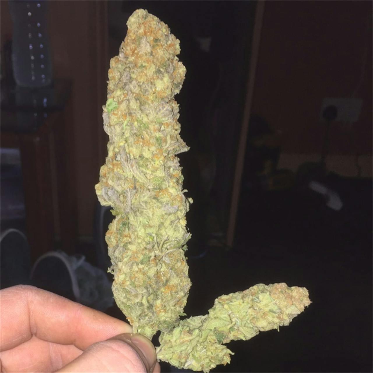 Photos of Amnesia Haze Weed Strain Buds | Leafly