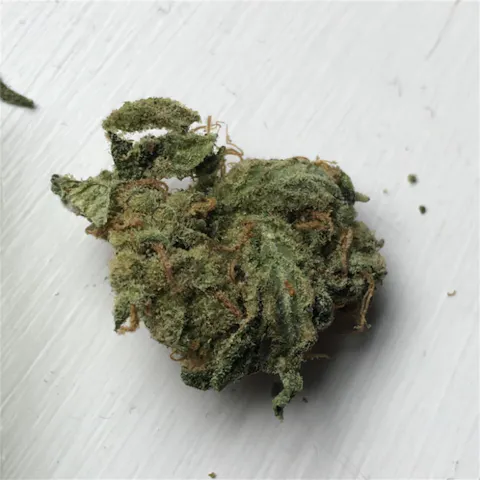 Amnesia Weed Strain Information | Leafly