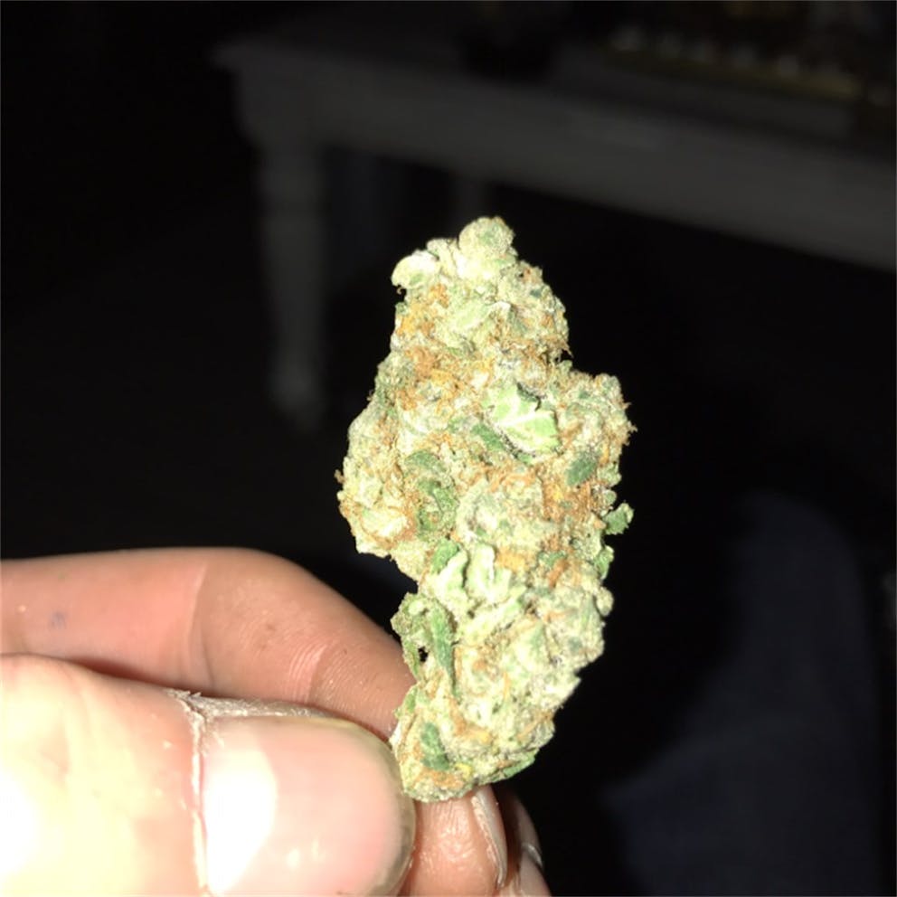 Photos of Amnesia Weed Strain Buds | Leafly