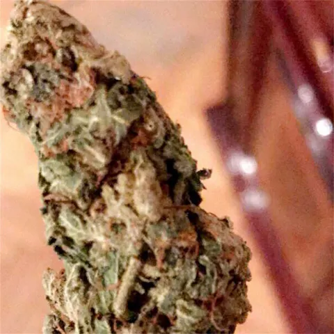 Amnesia Weed Strain Information | Leafly