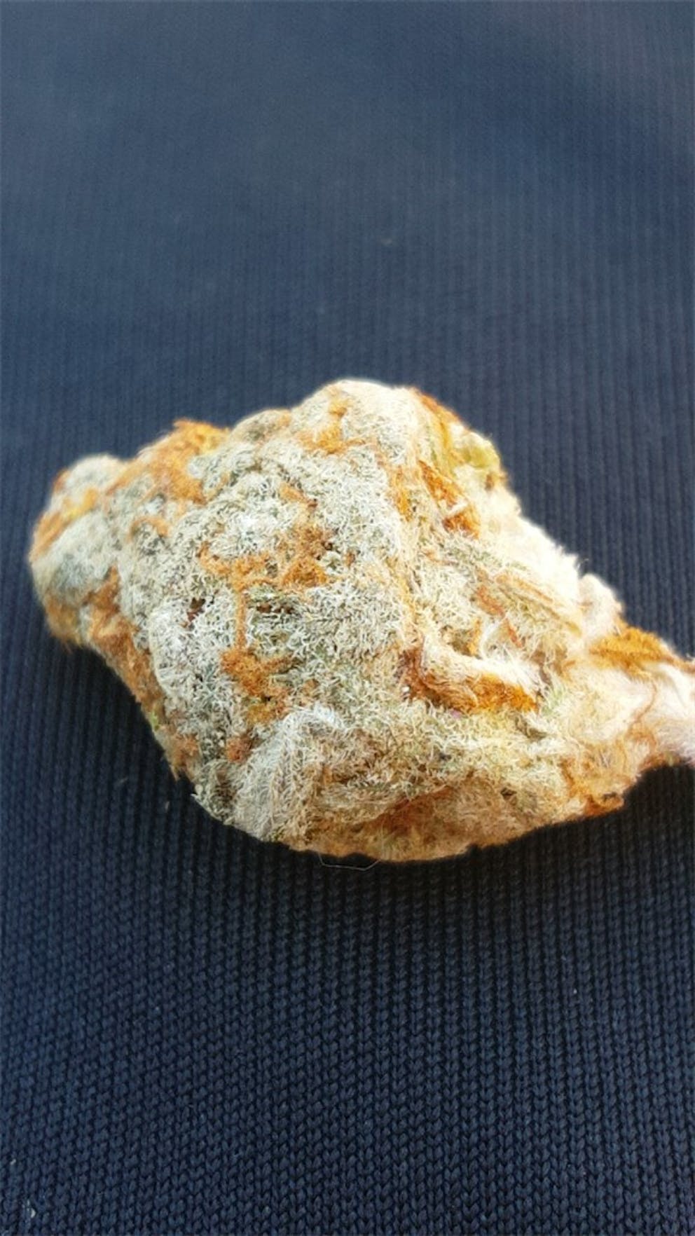 Photos of Apollo 13 Weed Strain Buds | Leafly