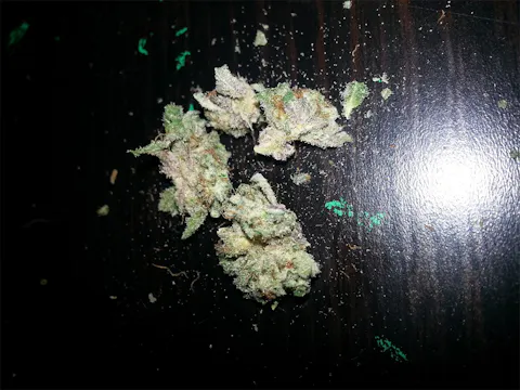 Area 51 Weed Strain Information | Leafly