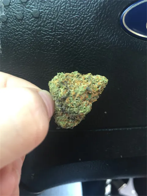 Area 51 Weed Strain Information | Leafly