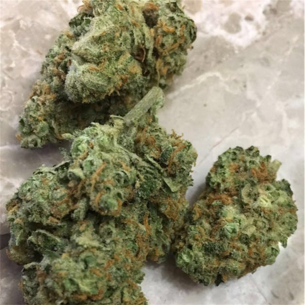 Photos of Area 51 Weed Strain Buds | Leafly
