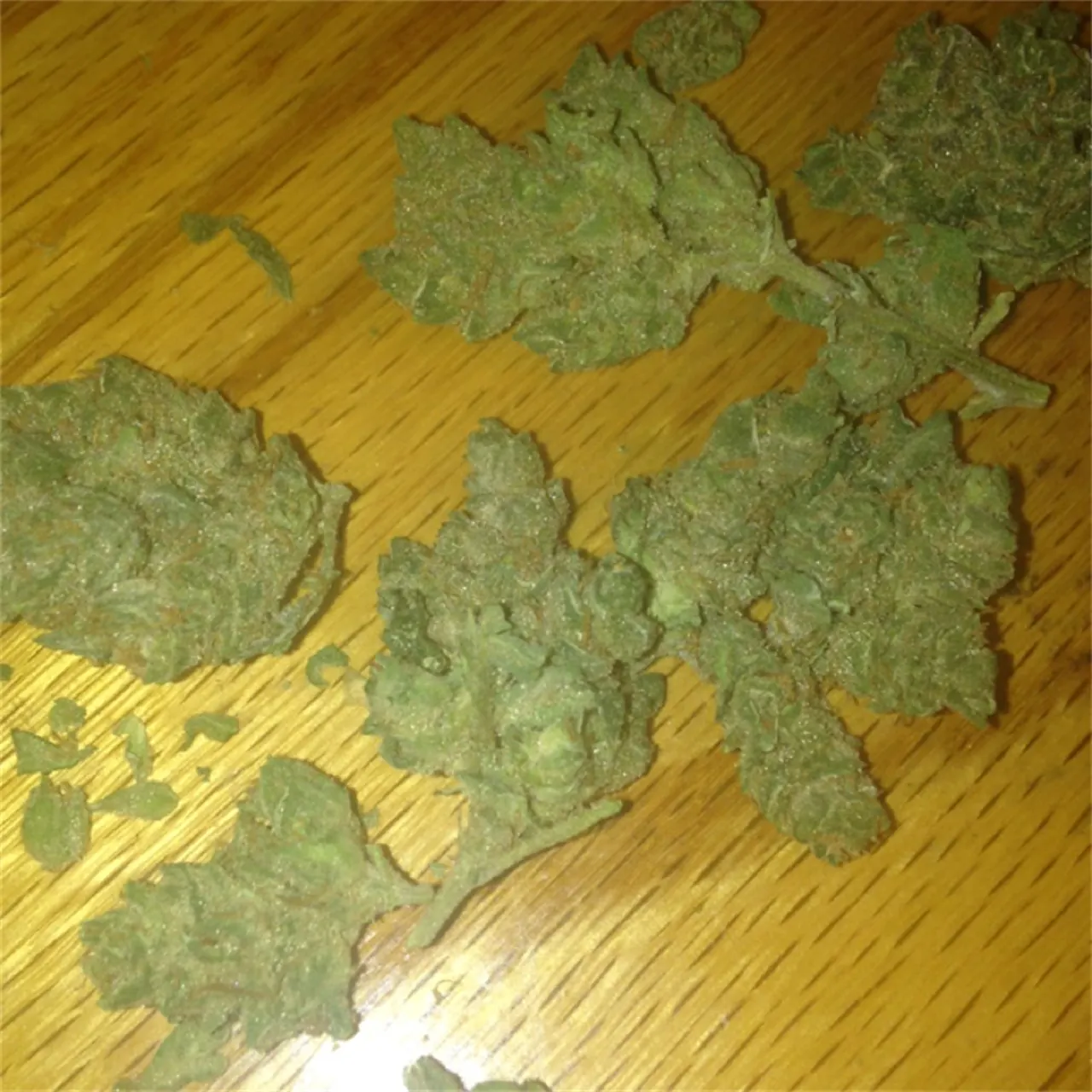 Photos of Banana Kush Weed Strain Buds | Leafly
