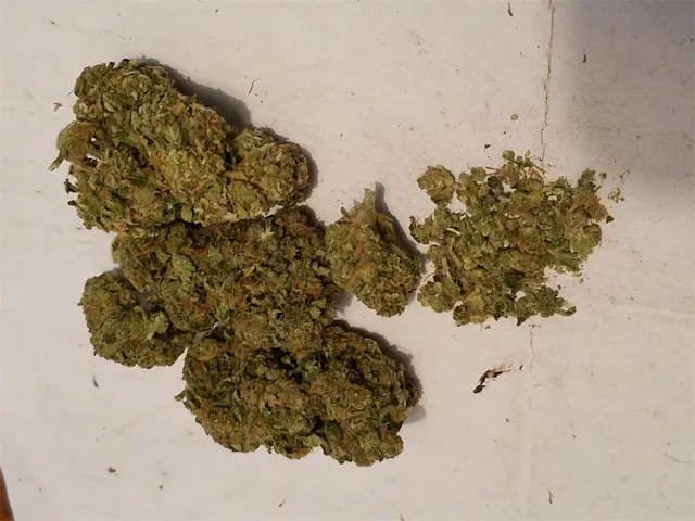 Photos of Banana Kush Weed Strain Buds | Leafly