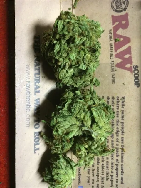 Bay 11 aka Granddaddy Bay 11 Weed Strain Information | Leafly