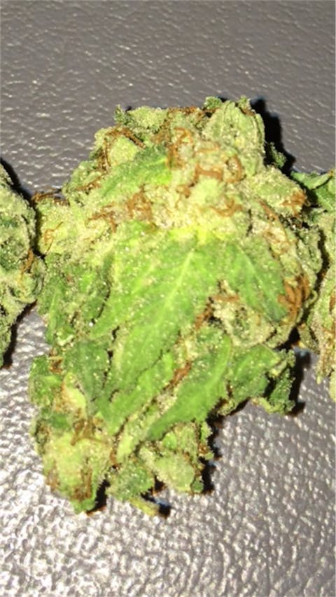 BC Big Bud Weed Strain Information | Leafly