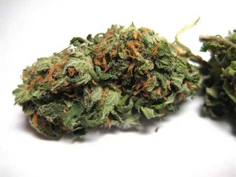 BC Roadkill Weed Strain Information | Leafly