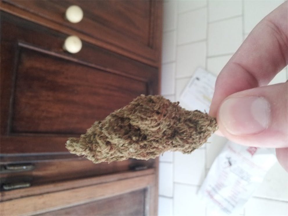 Photos of BC Sweet Tooth Weed Strain Buds | Leafly