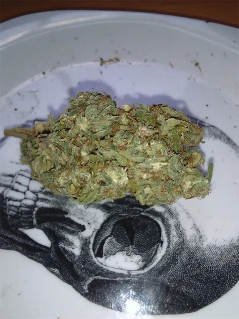 BC Sweet Tooth aka British Columbia Sweet Tooth Weed Strain Information ...