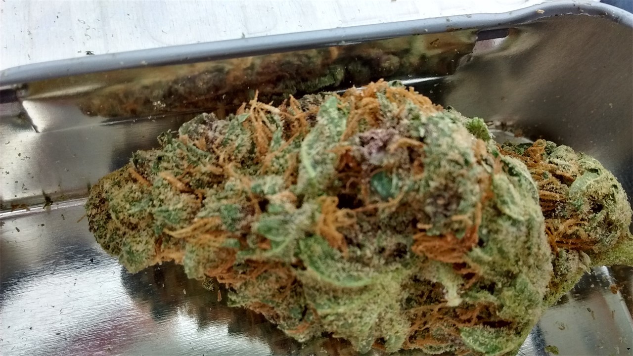 Beast Mode Weed